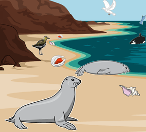 First Nations of the California Intermountain | Indigenous Peoples