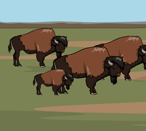 Great Plains Environment & Culture Activity