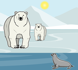 Polar Bear Growth: A Storyboard That Lesson Plan