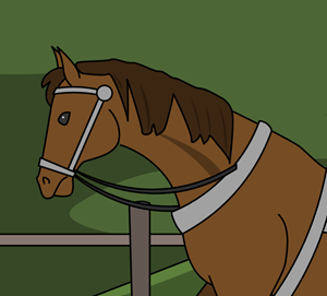 Black Stallion Vocabulary: Visual Storytelling Activities