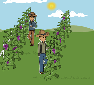 Esperanza Rising: Figurative Language with Storyboard That