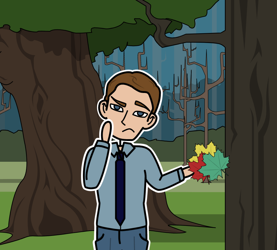 The Third Wish Samenvatting & Activiteiten | Joan Aiken