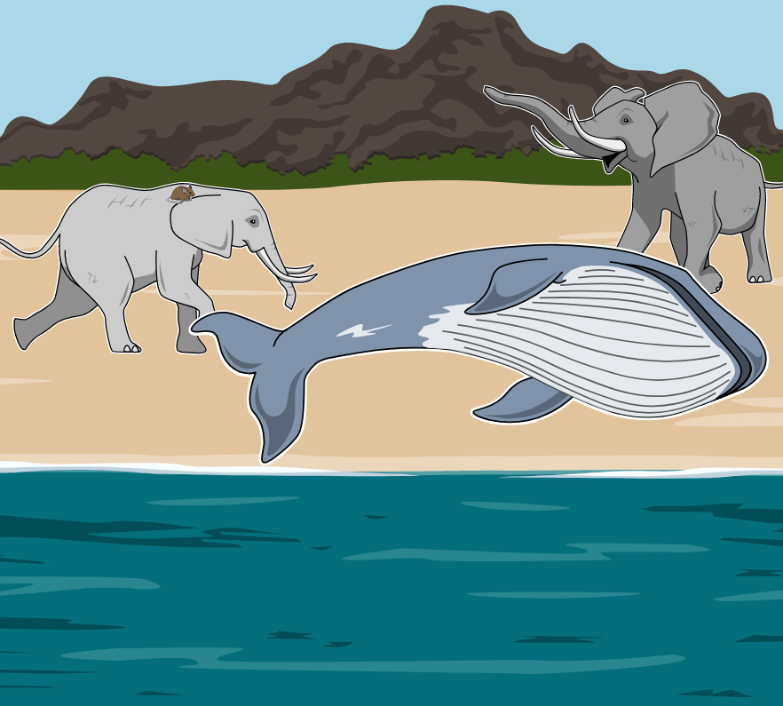 Amos og Boris-temaer: Storyboard-lektionsplaner