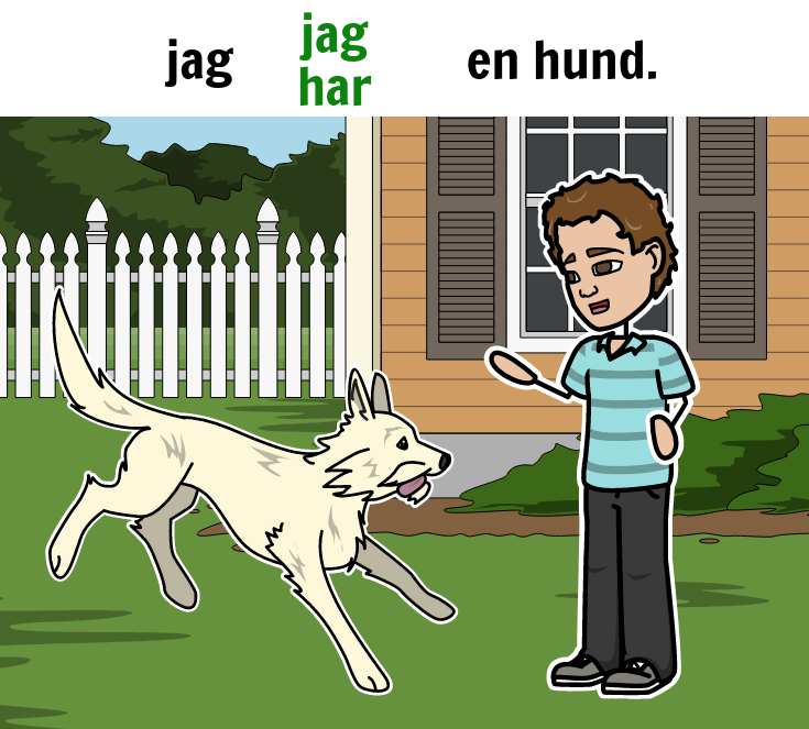 Tener Conjugation Practice | Spanska Possessive Adjectives