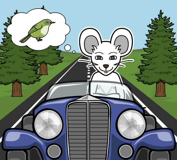 Stuart Little Sammendrag | Stuart Little by EB White Lesson Plan og ...