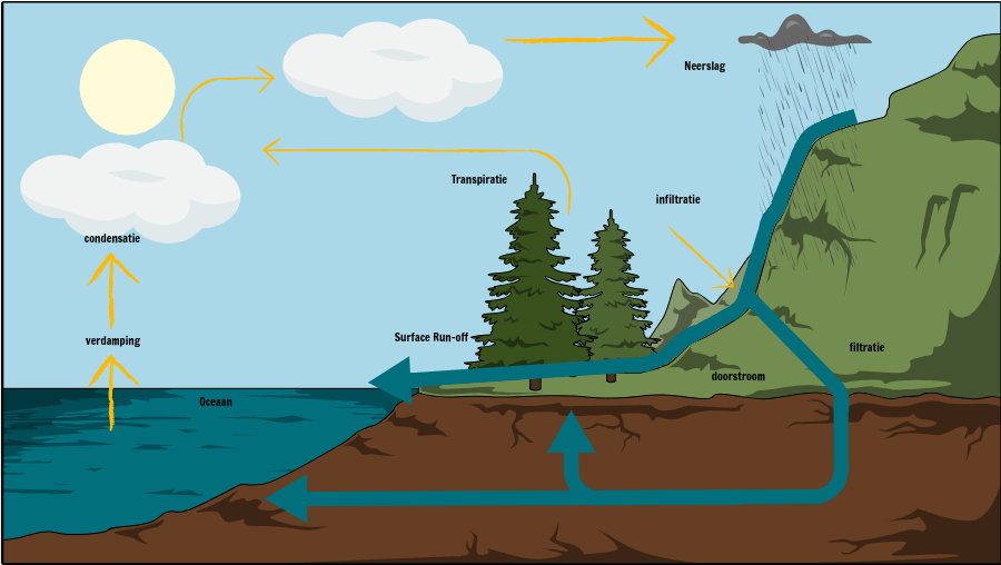 Het Watercyclusdiagram | De Watercyclusactiviteiten