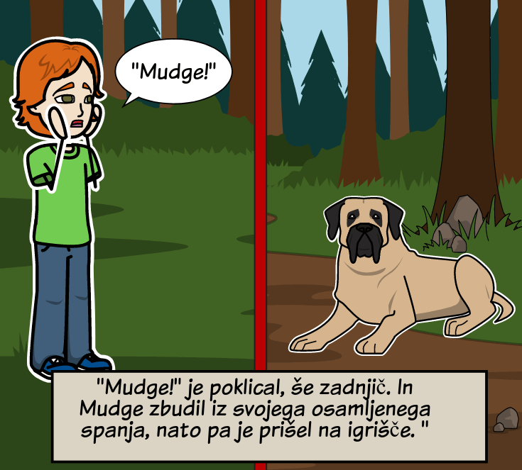 Henry and Mudge Summary Activity | Diagram Diagrama BME