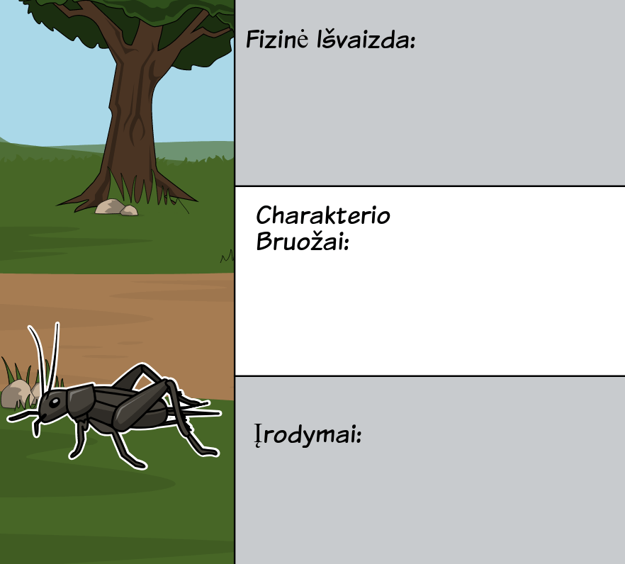 Kriketas Laikų Aikštėje: kas yra kas