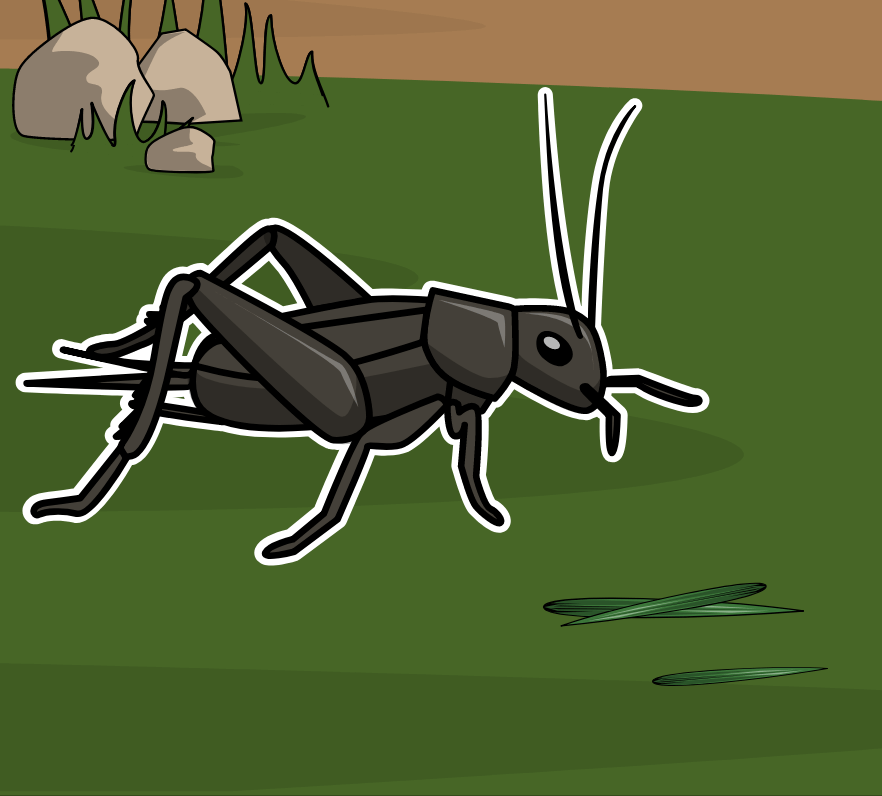 Į Times Square Kriketas - Simbolių Žemėlapis Storyboard