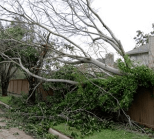 Storyboard That: Natural Disasters Lesson Plans