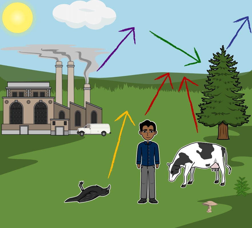 Vocabulaire du Changement Climatique : Activité Storyboard That