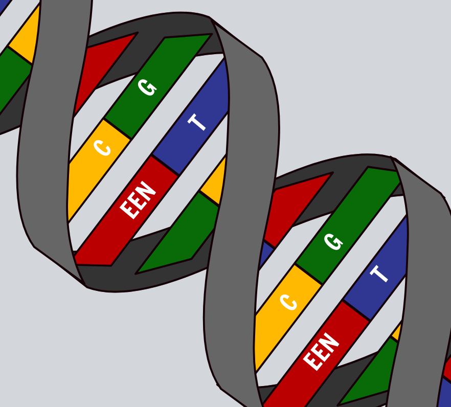 Woordenschat van Celdeling | Biologie en Sleutelbegrippen