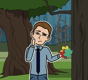 "The Third Wish" Plot Diagram: Storyboard That Activity