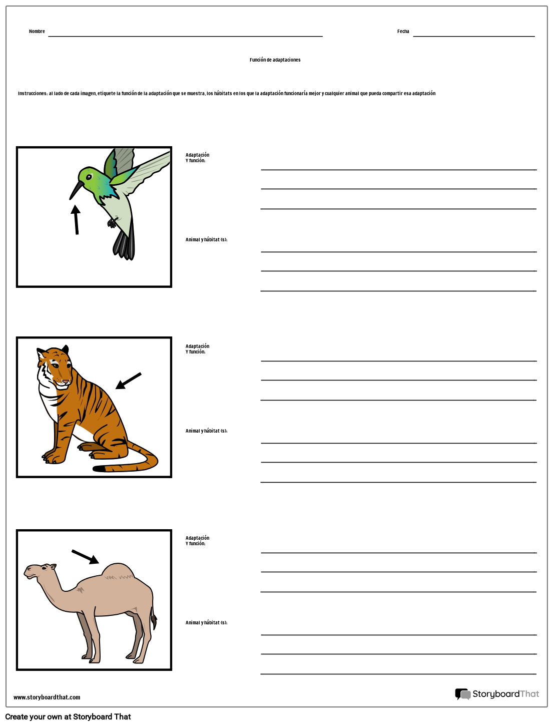 Hoja de Trabajo de Adaptación Animal | Hoja de Trabajo de Adaptaciones ...