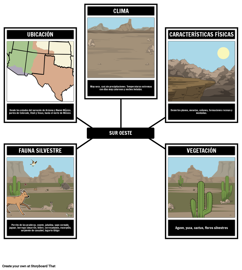 Mapa de Araña de la Región Suroeste Storyboard