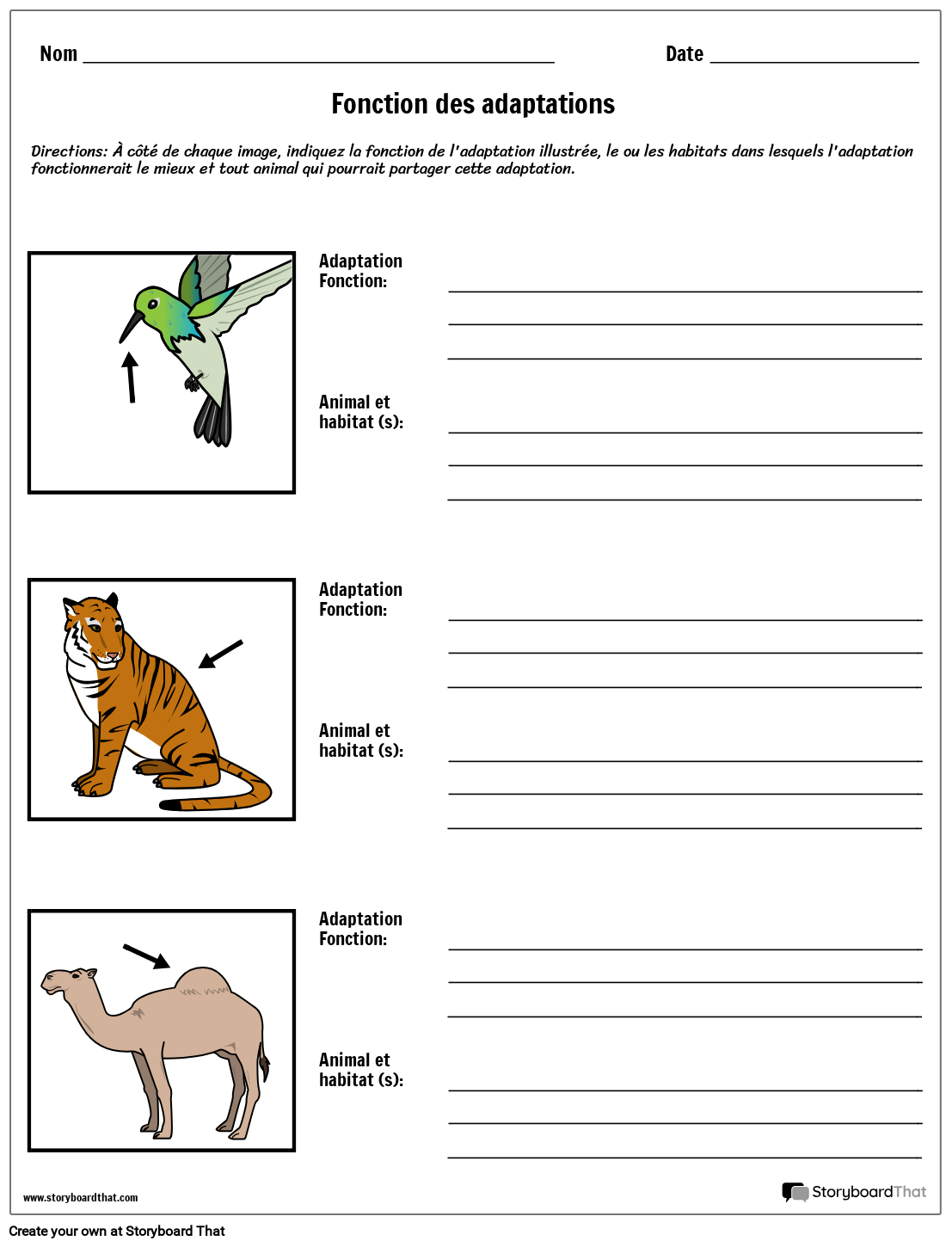 Fiche de Travail sur L'adaptation Animale | Fiche de Travail sur les ...