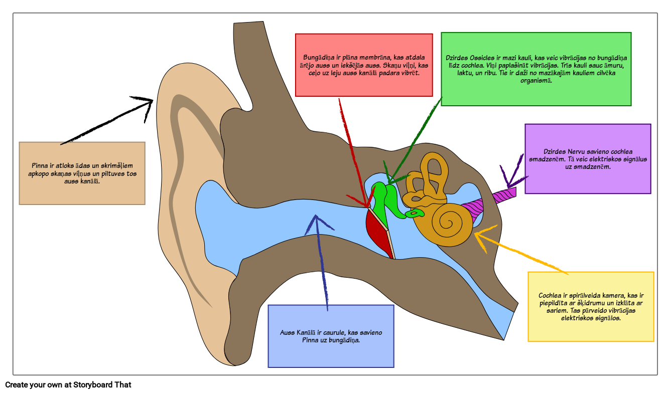 Strukt ra Ear Lv examples Strukt ra Ear Lv examples