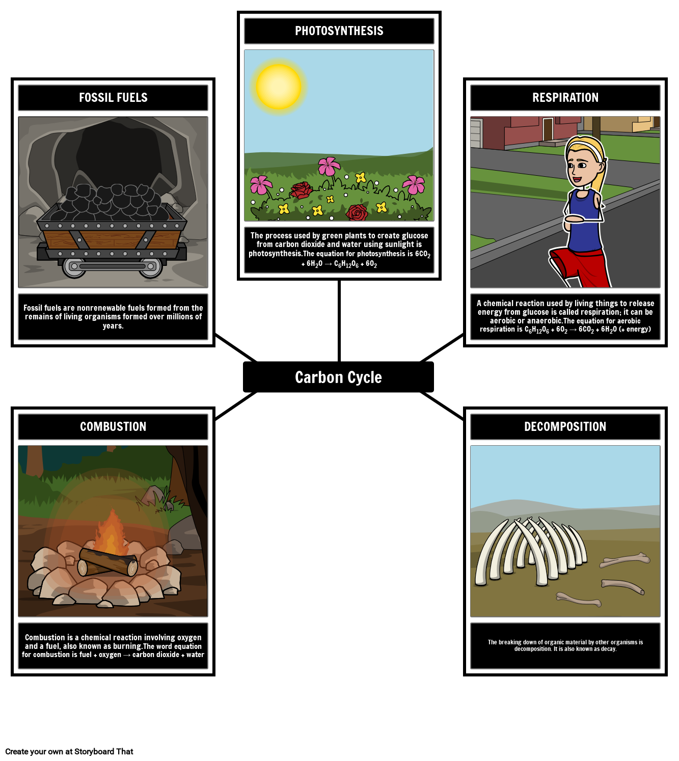 The Carbon Cycle Vocabulary Storyboard Oliversmith