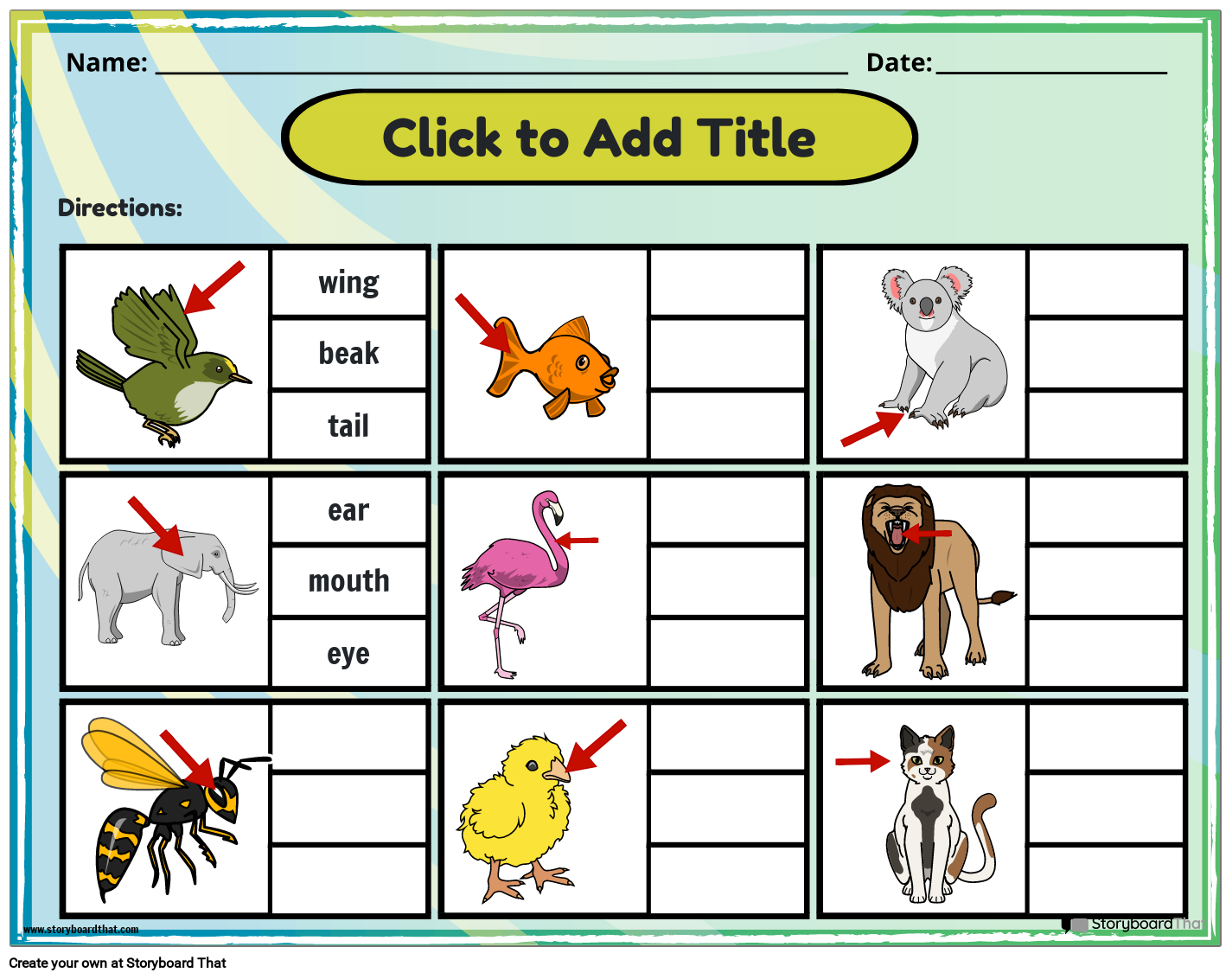 Body Parts Of Animals Worksheet Template Storyboard