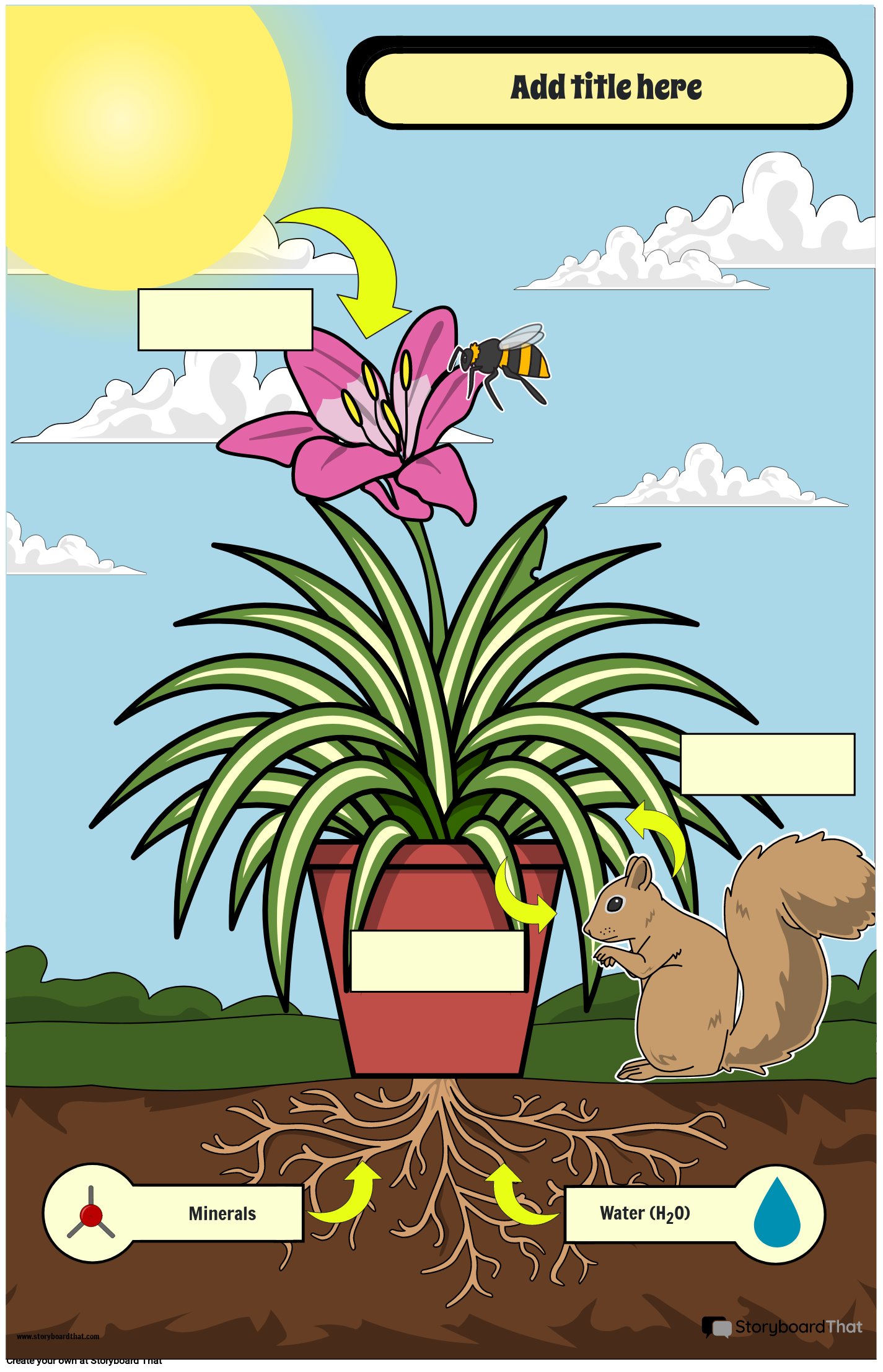 Photosynthesis Posters Free Cellular Respiration Posters
